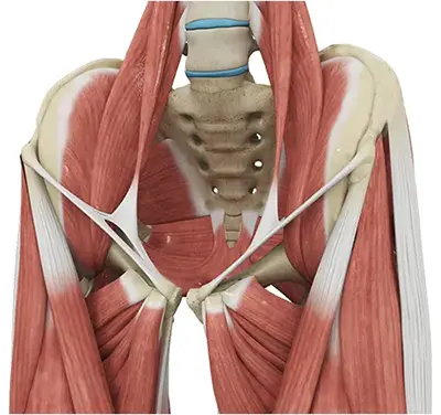 Ehlers-Danlos Syndrome Treatment Chicago IL | Capsular Repair Chicago